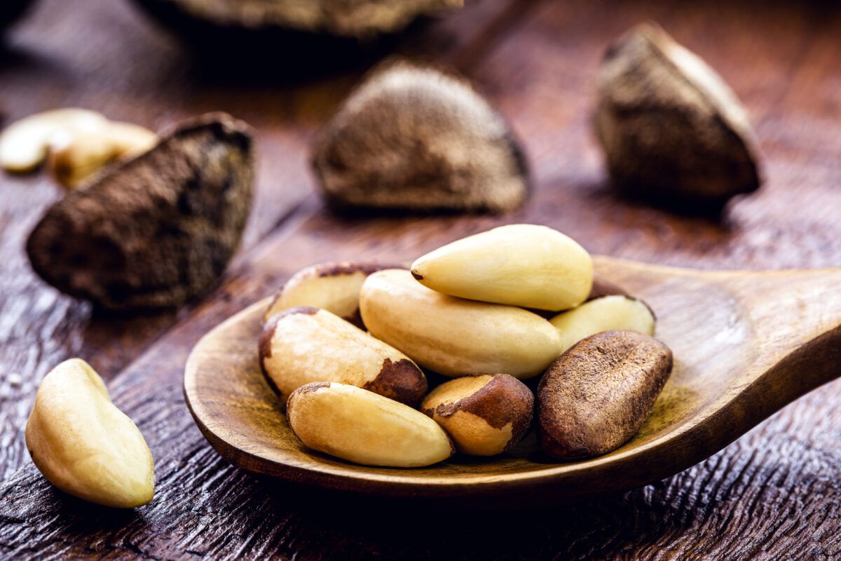 The Rise of Indigenous Brazilian Gastronomy in the Modern Scene ...